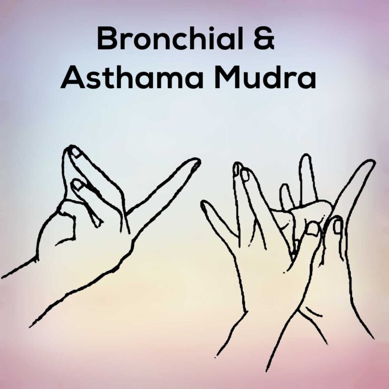 Anjali Mudra steps pose, and benefits with image - nexoye Anjali Mudra steps pose, and benefits with image - nexoye